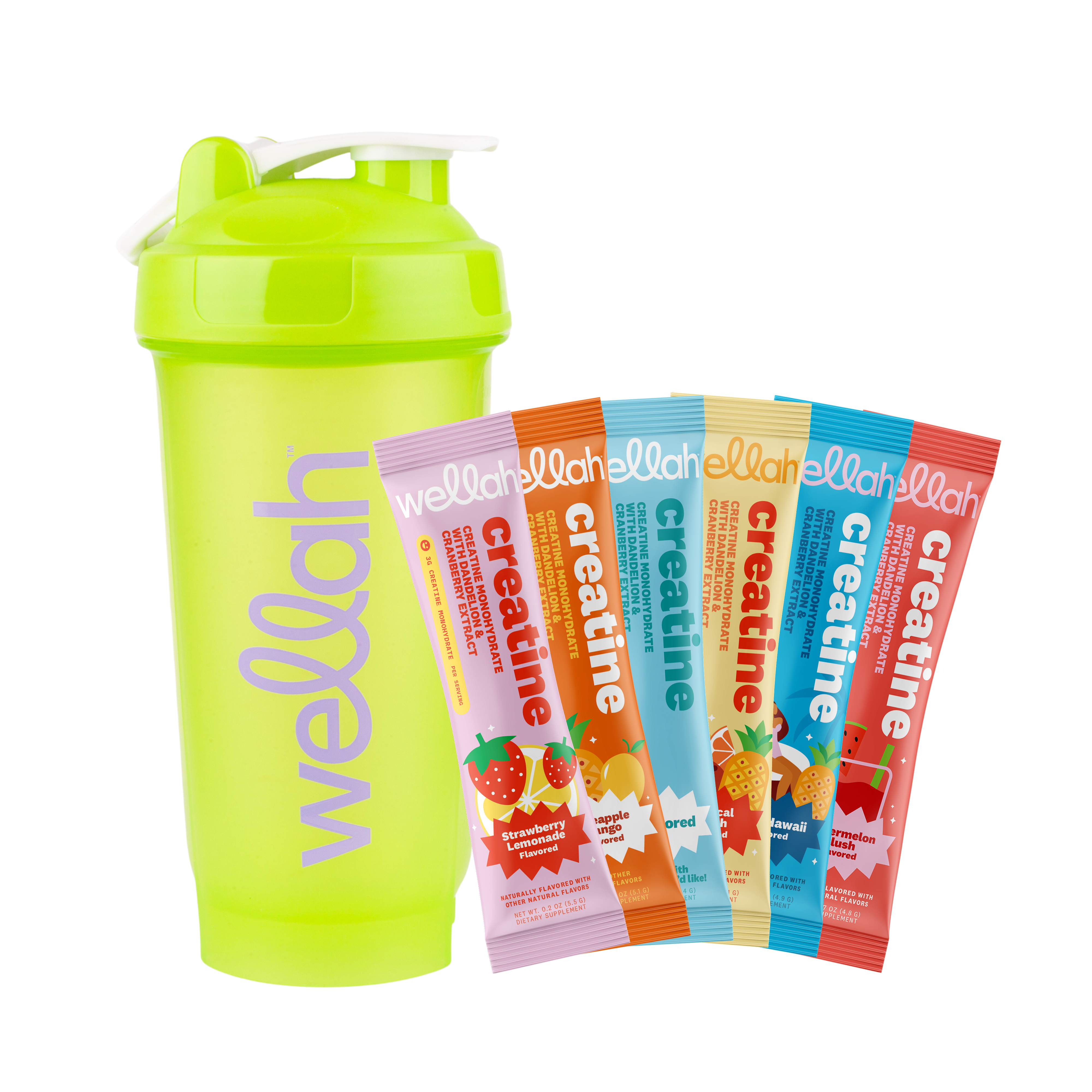 Creatine Sample Pack + Shaker Bottle – Wellah